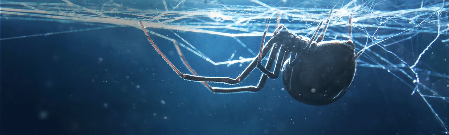 Arachnid | My Call of Duty® Bundles