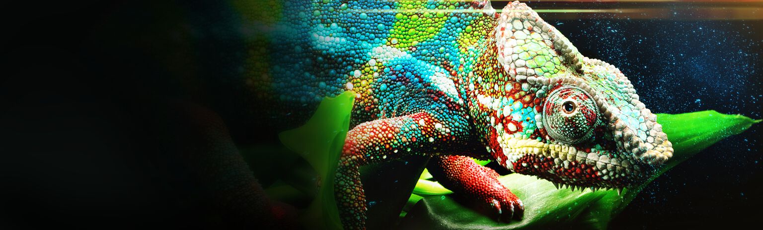 Captain Chameleon | My Call of Duty® Bundles