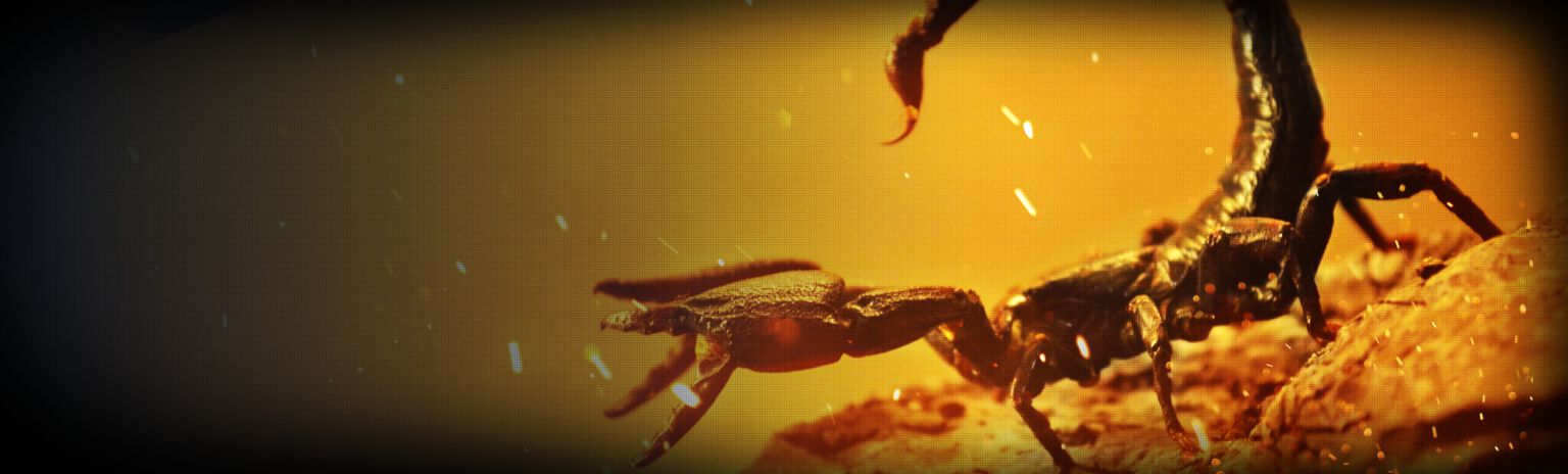 Death Valley | My Call of Duty® Bundles