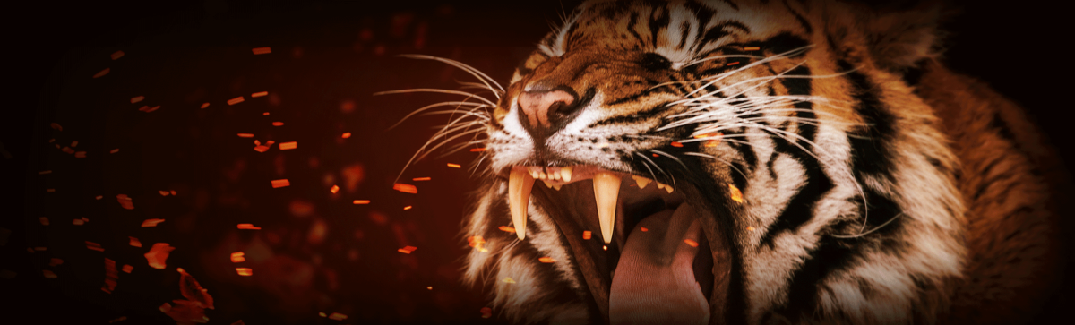 Fire Claw | My Call of Duty® Bundles