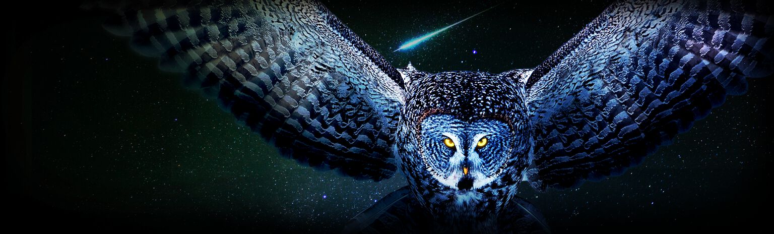 Reticent | My Call of Duty® Bundles