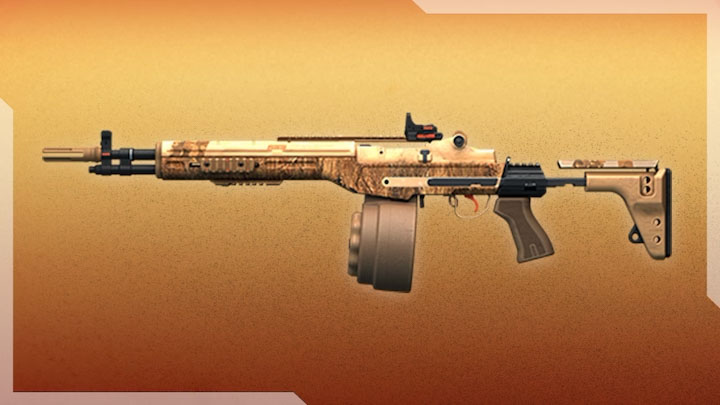 Call of Duty Store | Desert Rogue